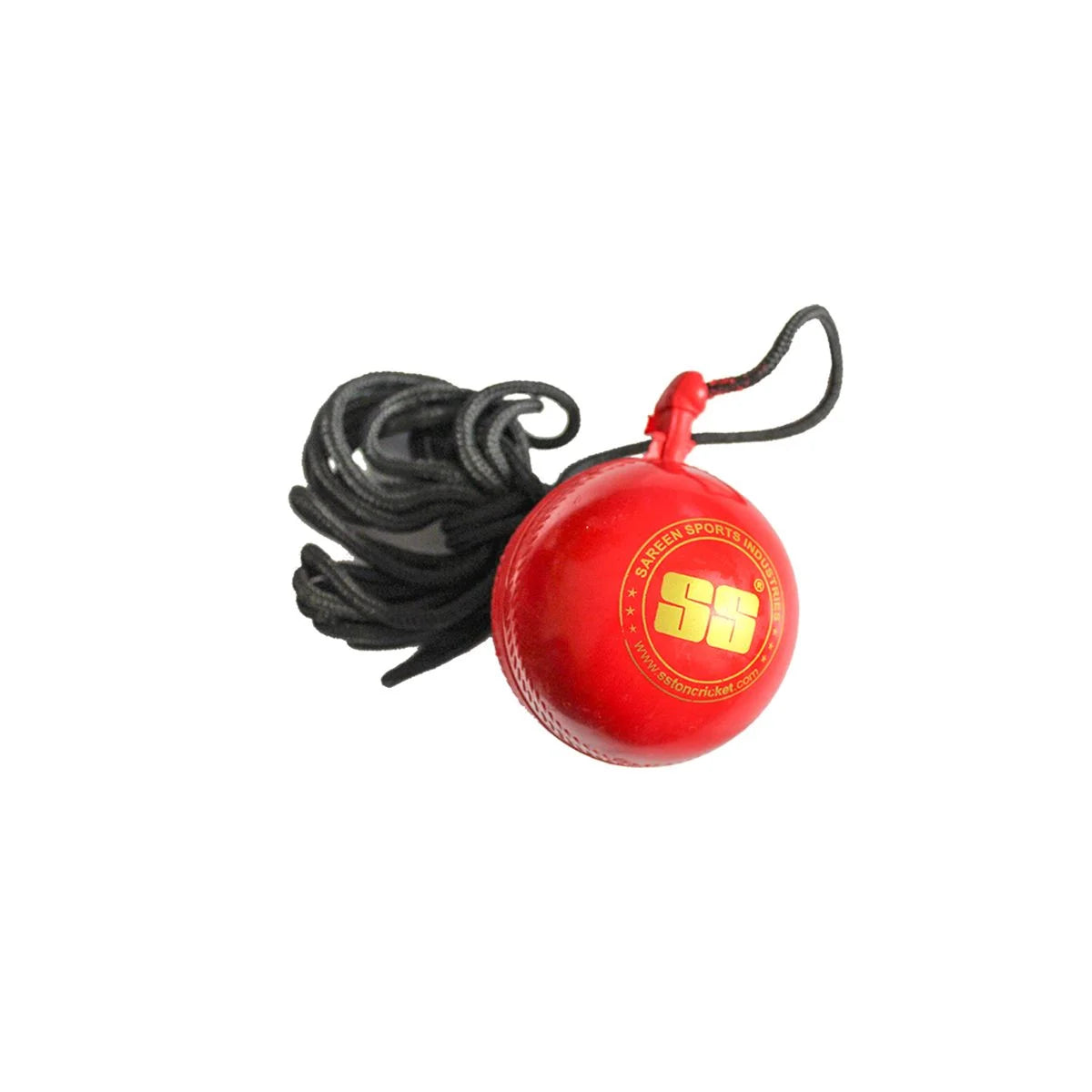 SS Hanging Cricket Ball with String for Training – CricketArabia